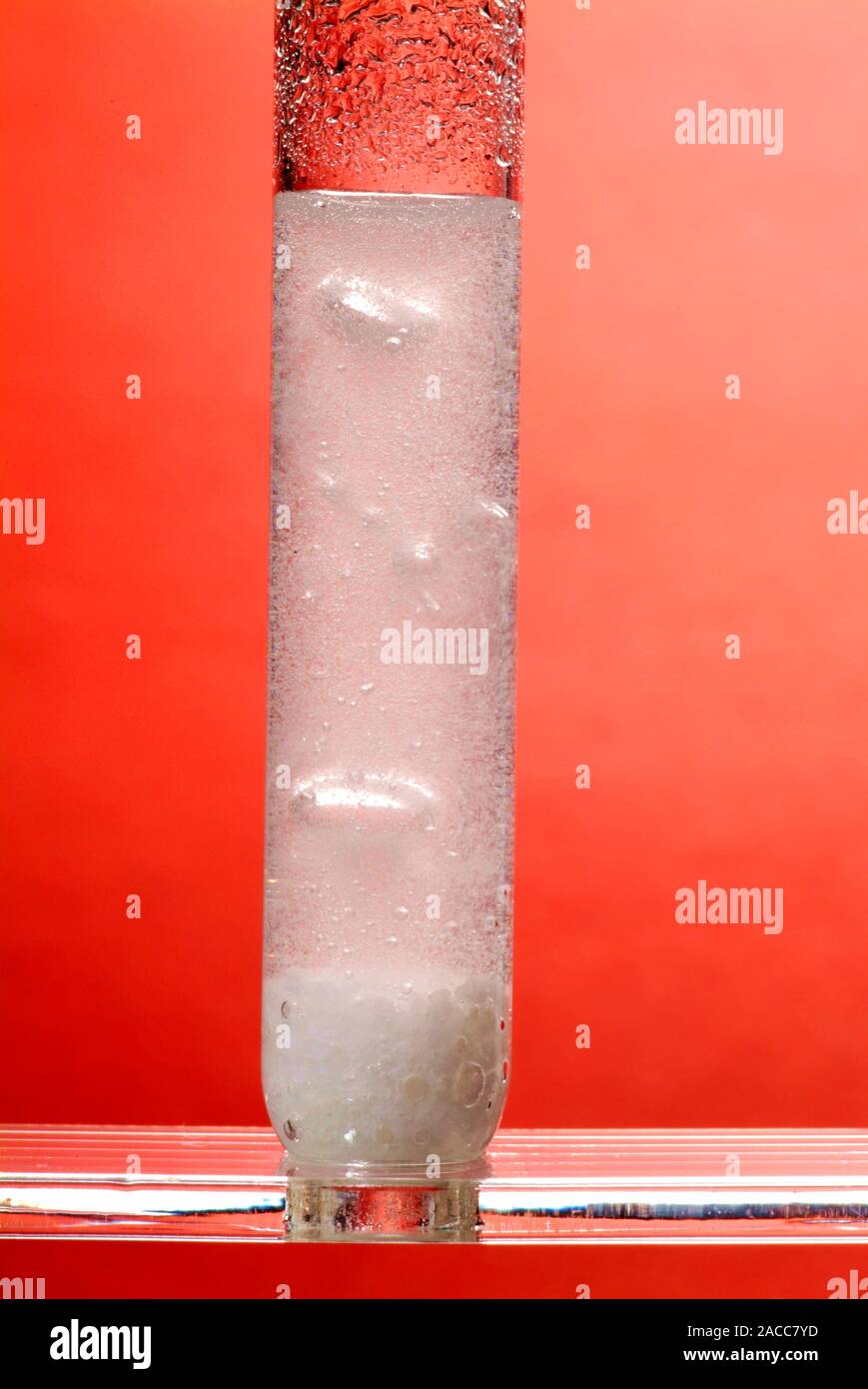 Marble reacting with an acid. Carbon dioxide gas being produced in a ...