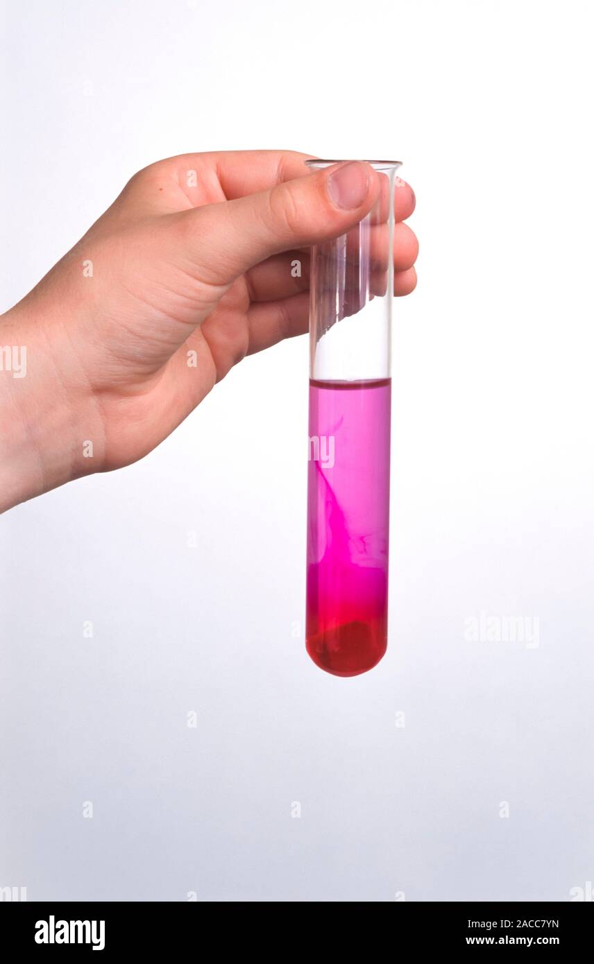 Beetroot dye experiment. Osmotic pressure has burst the beetroot cells ...