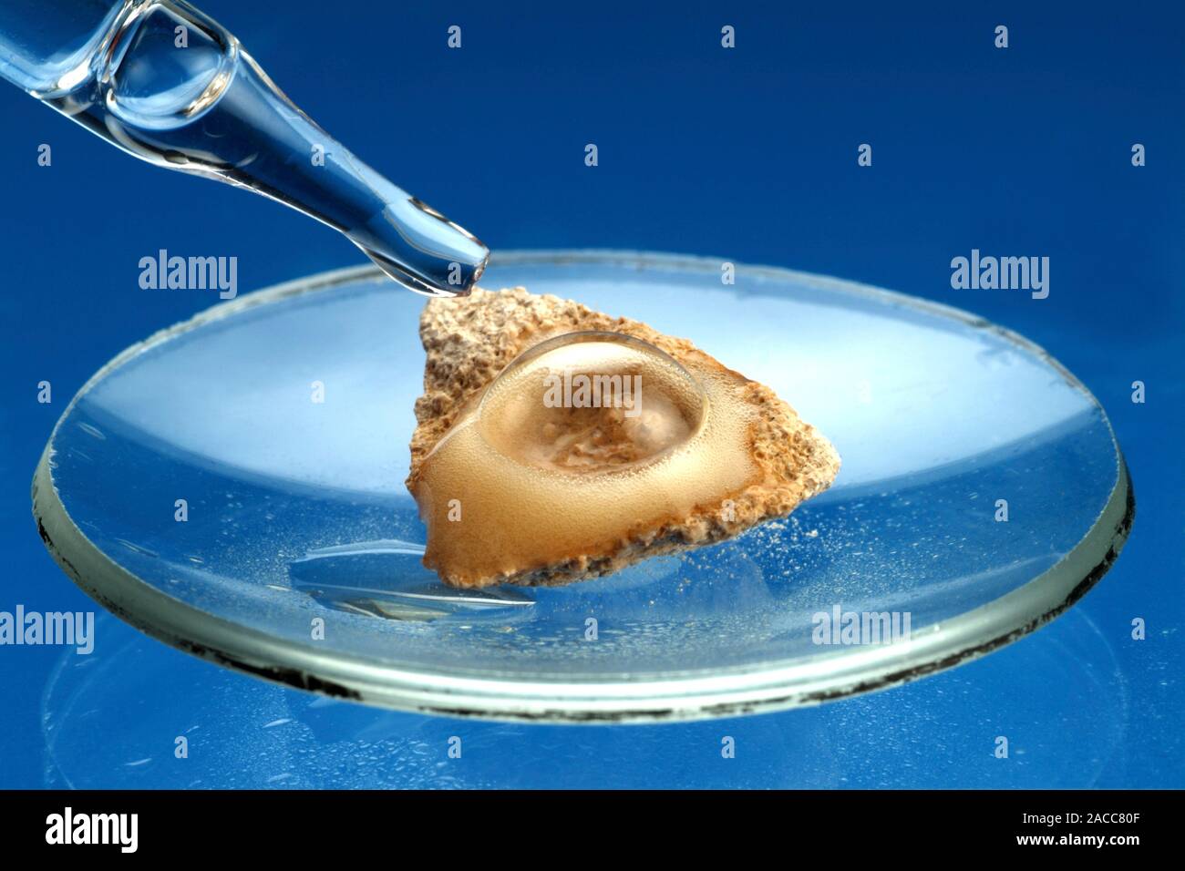 Reaction of limestone and acid. This is an example of an acid-carbonate ...