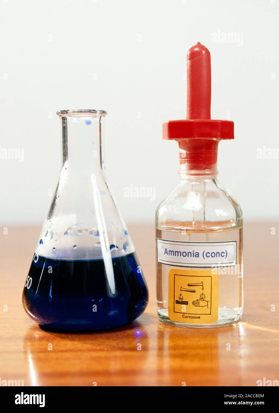 Copper (II) reaction. Flask containing a solution of copper (II) (Cu2 ...