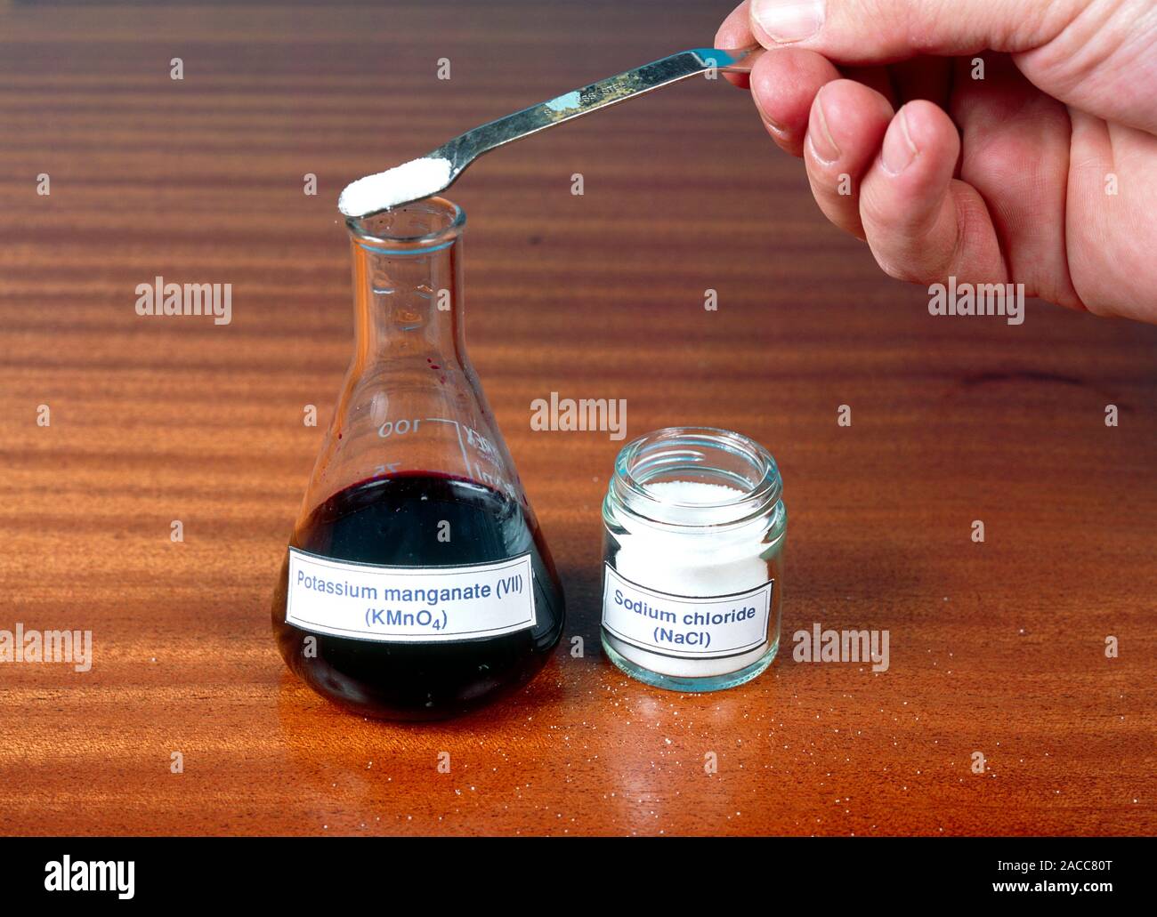 Potassium manganate experiment. Sodium chloride (NaCl) powder being ...
