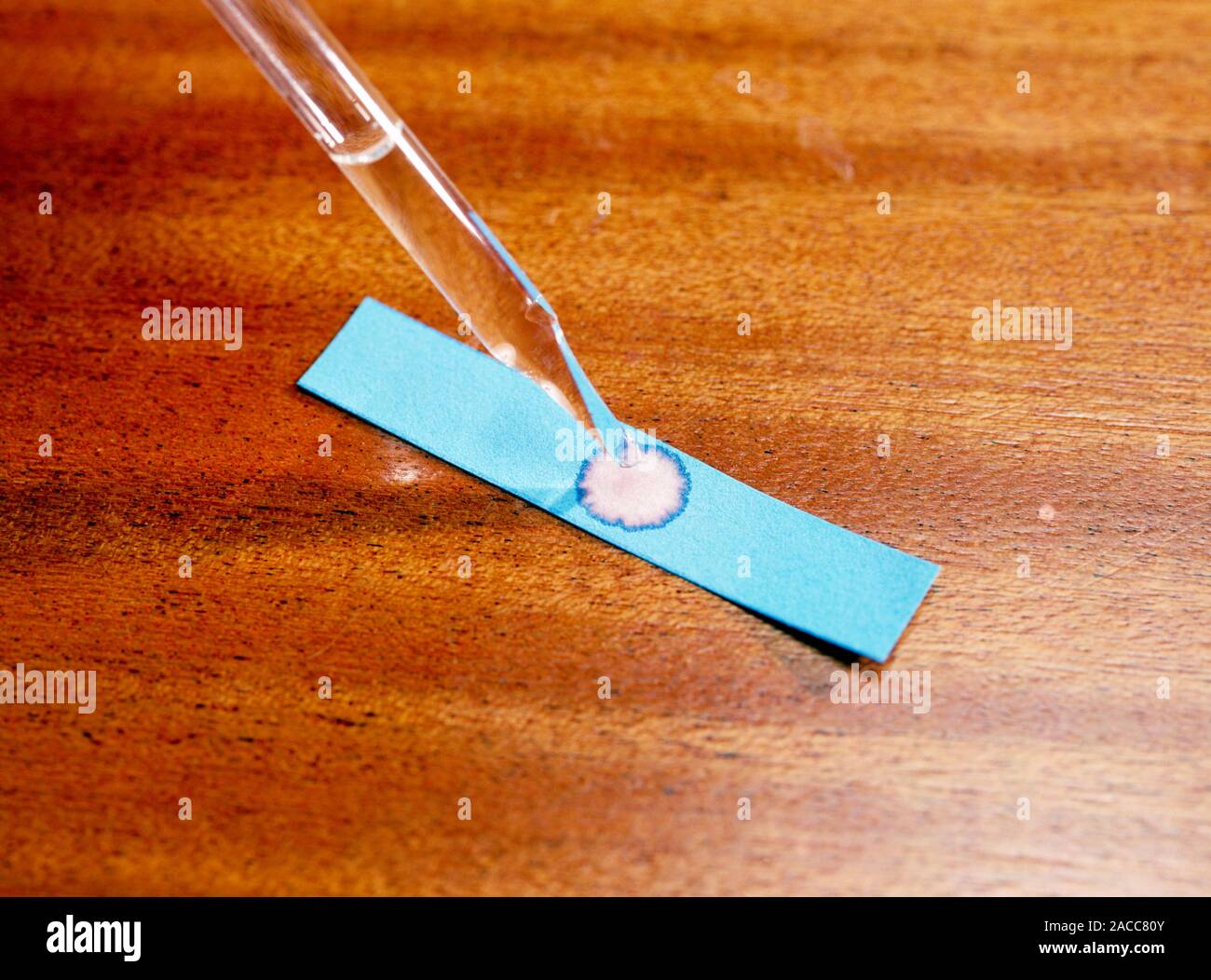 Cobalt chloride paper. Image 2 of 2. Solution being pipetted on to a ...