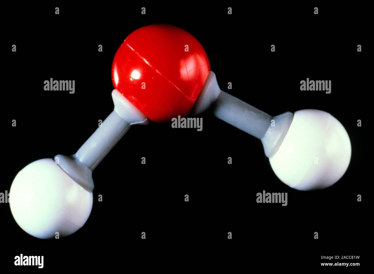 Model of a single molecule of water, showing the arrangement of the two ...