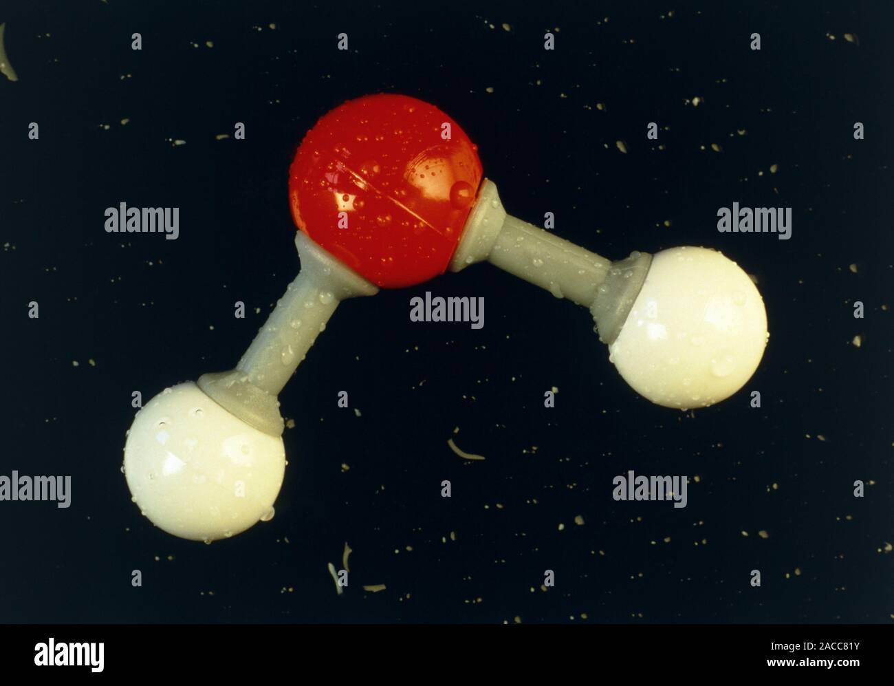 Model of a single molecule of water, showing the arrangement of the two ...