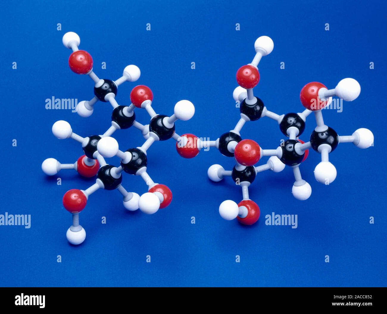 Sucrose molecule. Molecular model of the disaccharide sugar sucrose ...