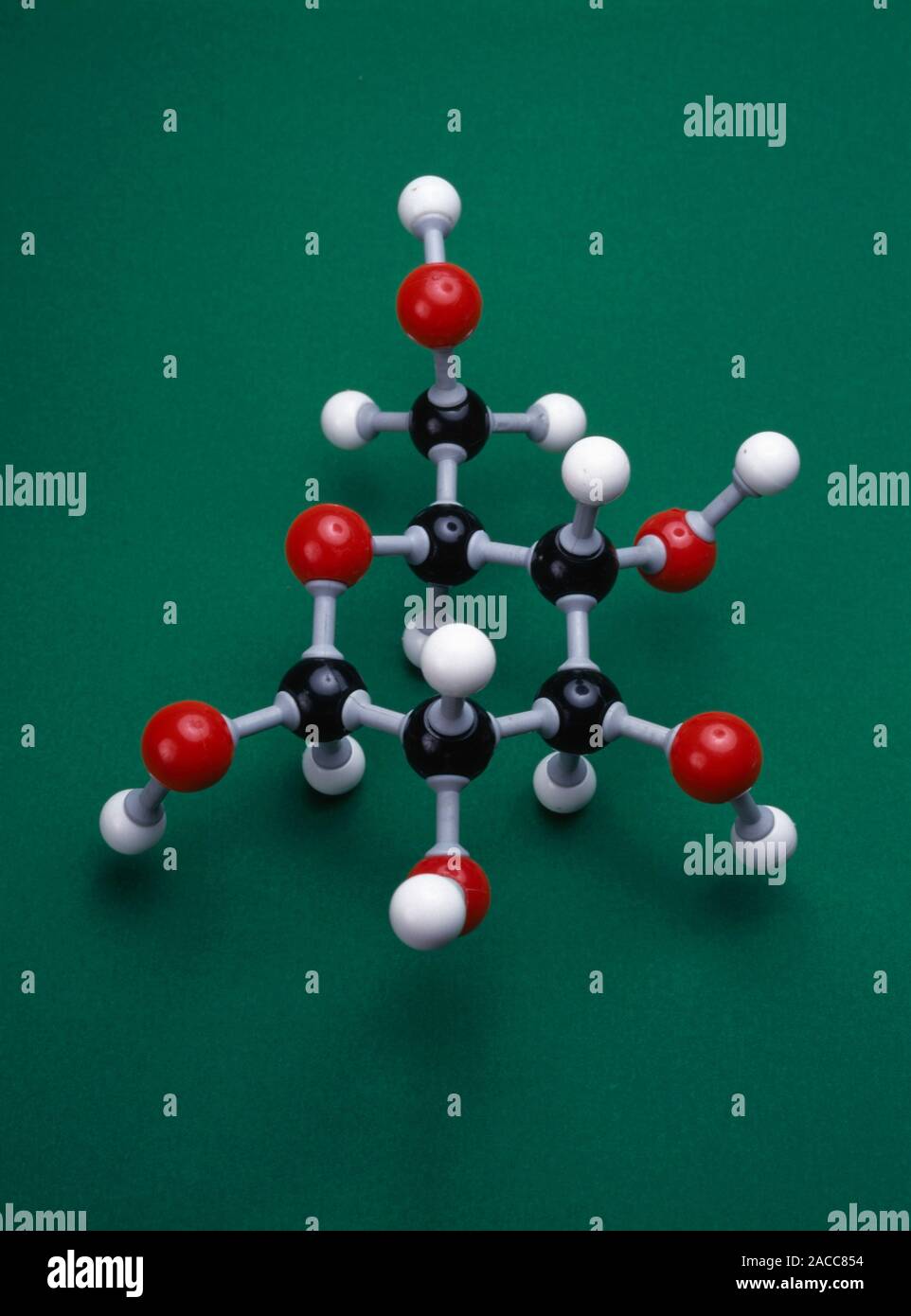Glucose isomer model. Molecular model of the beta form of the hexose ...