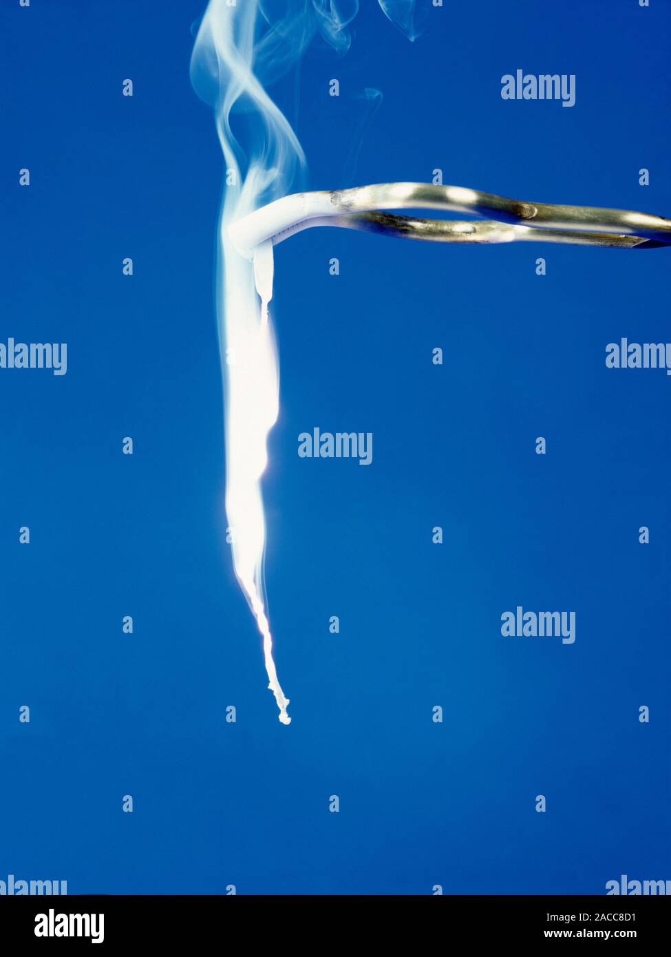 Magnesium ribbon burning. Image 3 of 3. Magnesium metal burns with a ...