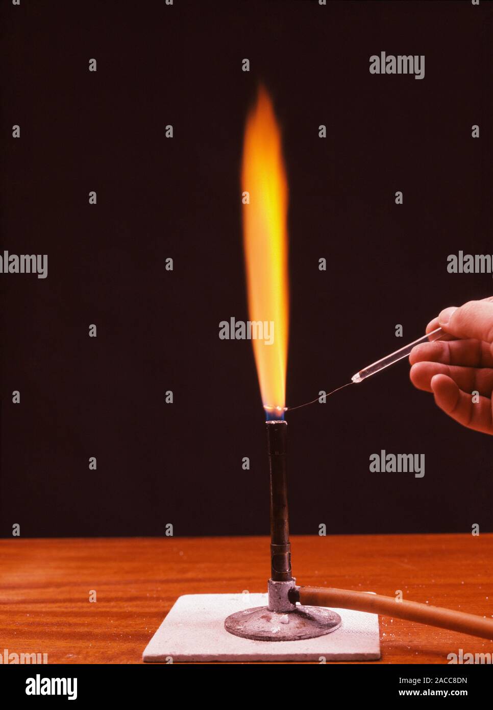 Flame test. Calcium burning in the flame of a bunsen burner producing ...