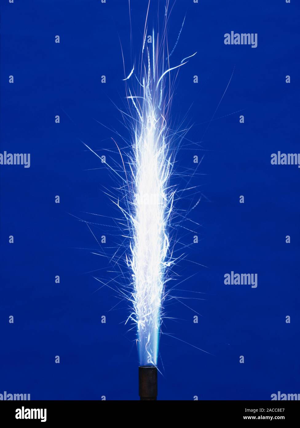 Burning magnesium powder in a bunsen burner flame. Magnesium powder ...