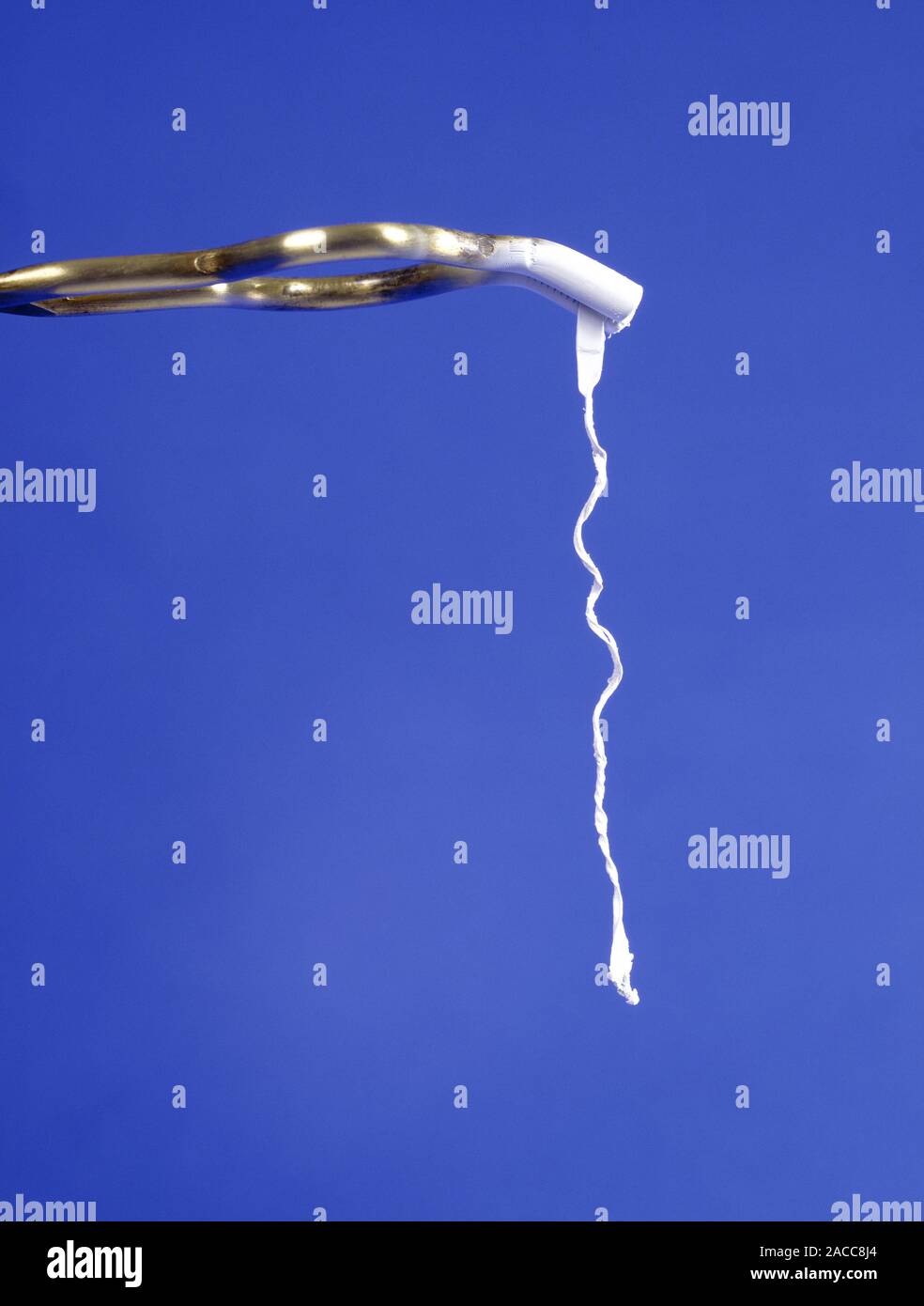 Burnt magnesium ribbon. During the combustion of the magnesium ribbon ...