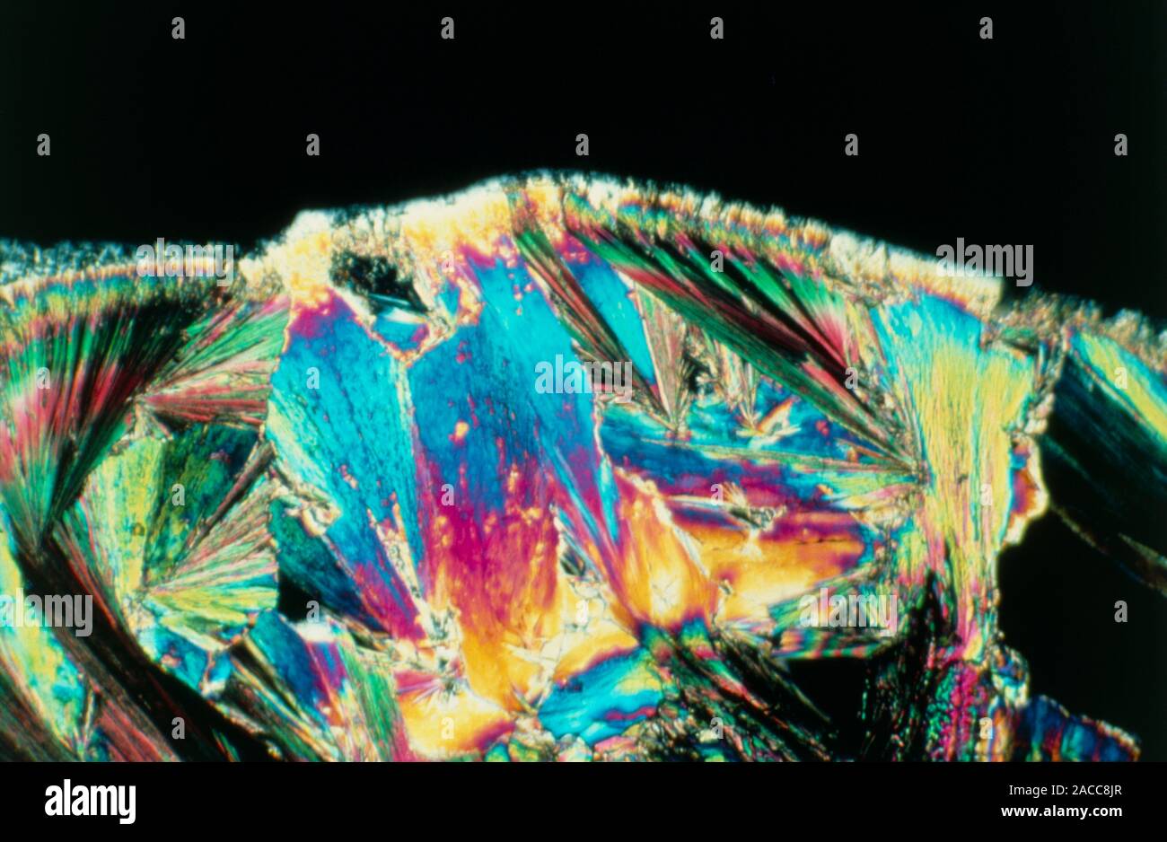 Polarised light micrograph of zinc acetate. Magnification: x14 at 35mm ...