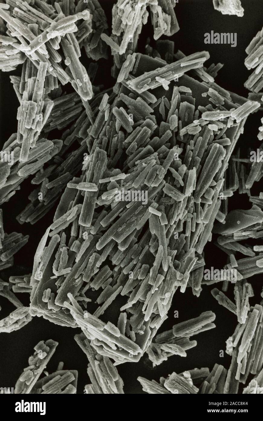 Scanning electron micrograph (SEM) of crystals of pure anhydrous ...