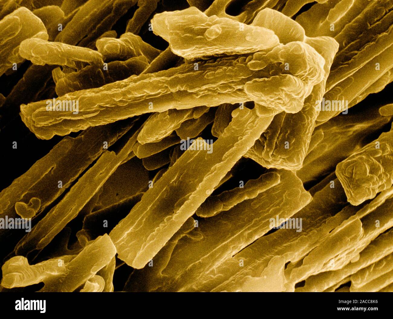 Scanning electron micrograph (SEM) of crystals of pure anhydrous ...