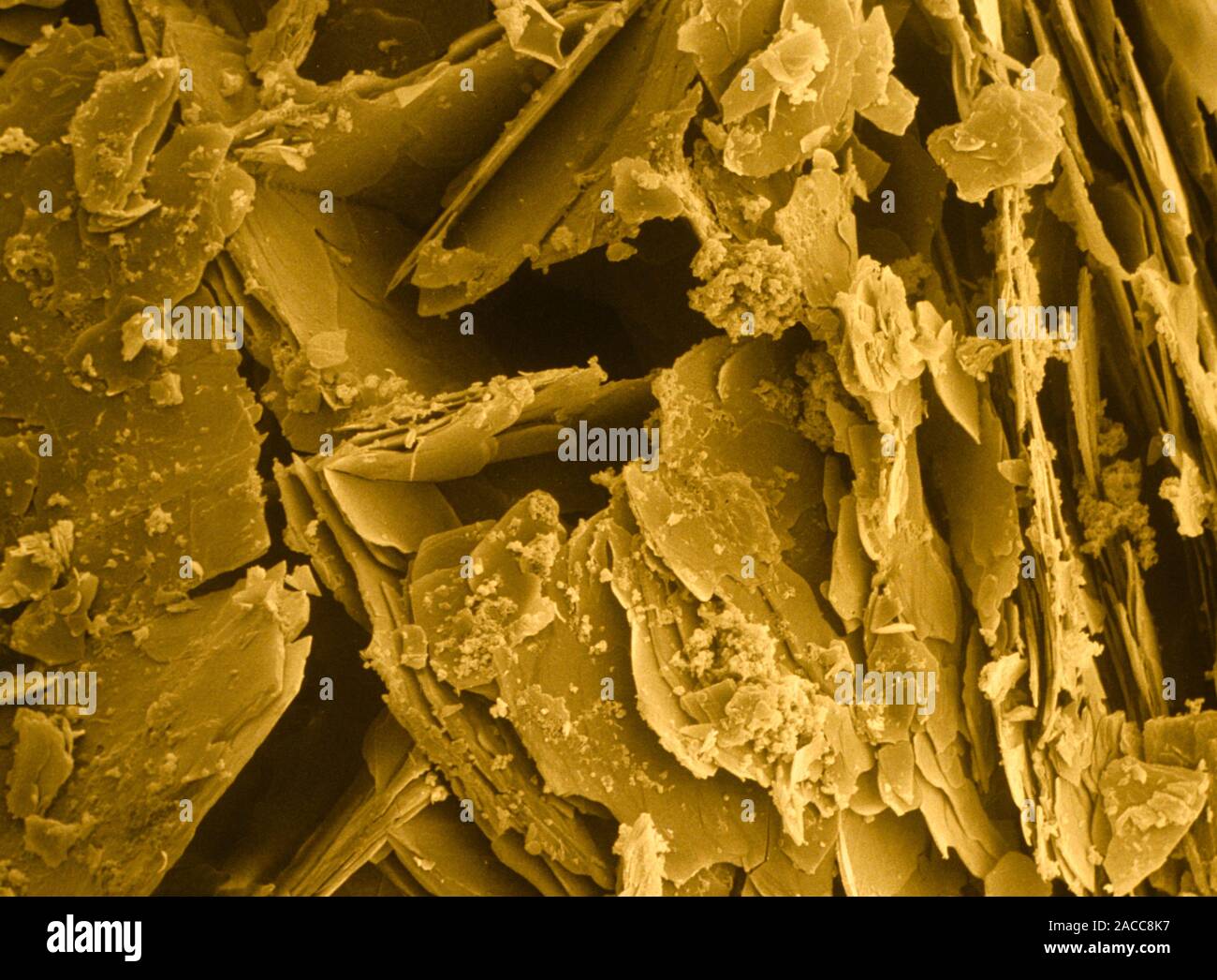 Scanning electron micrograph (SEM) of crystals of pure anhydrous ...