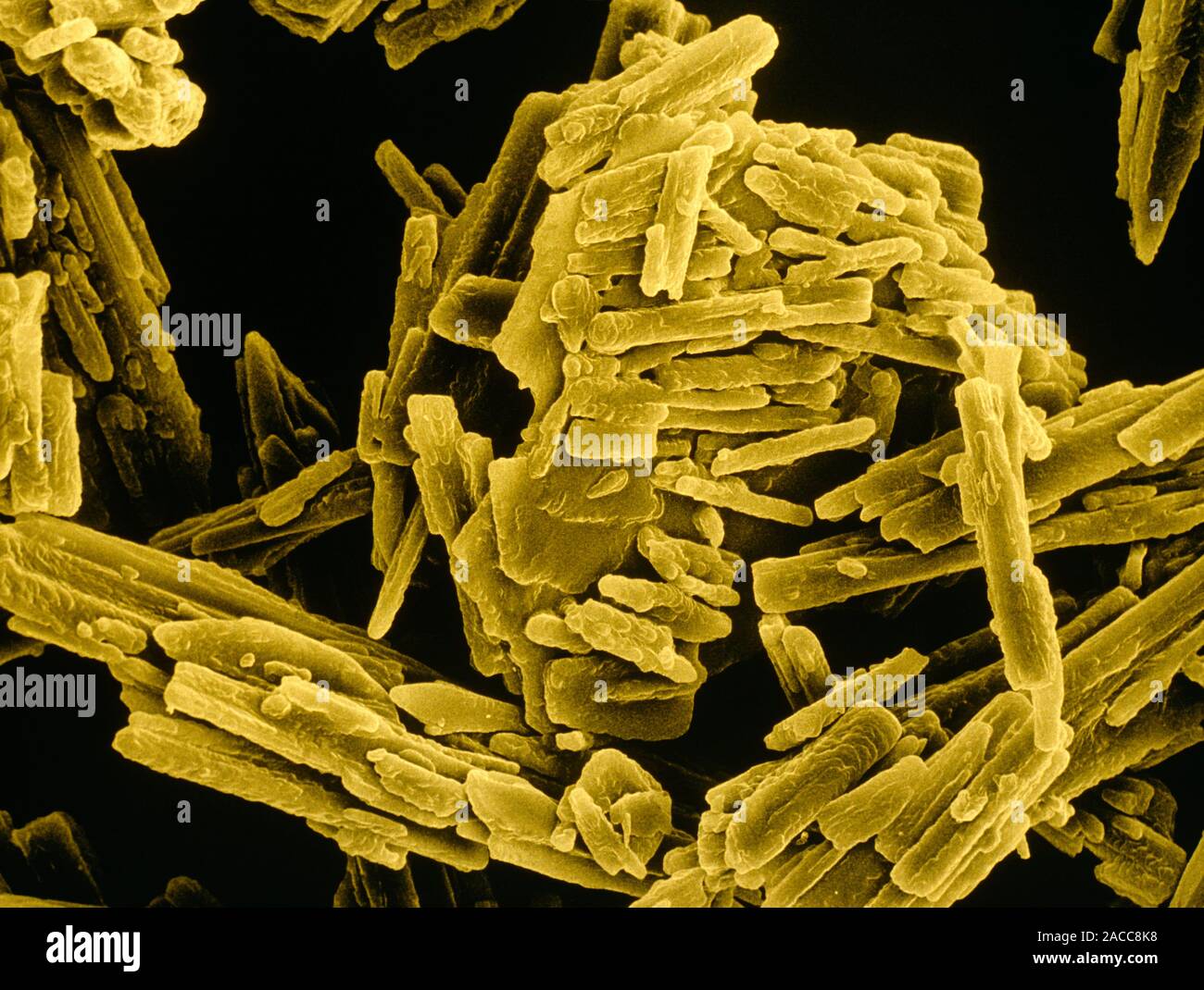 Scanning electron micrograph (SEM) of crystals of pure anhydrous ...
