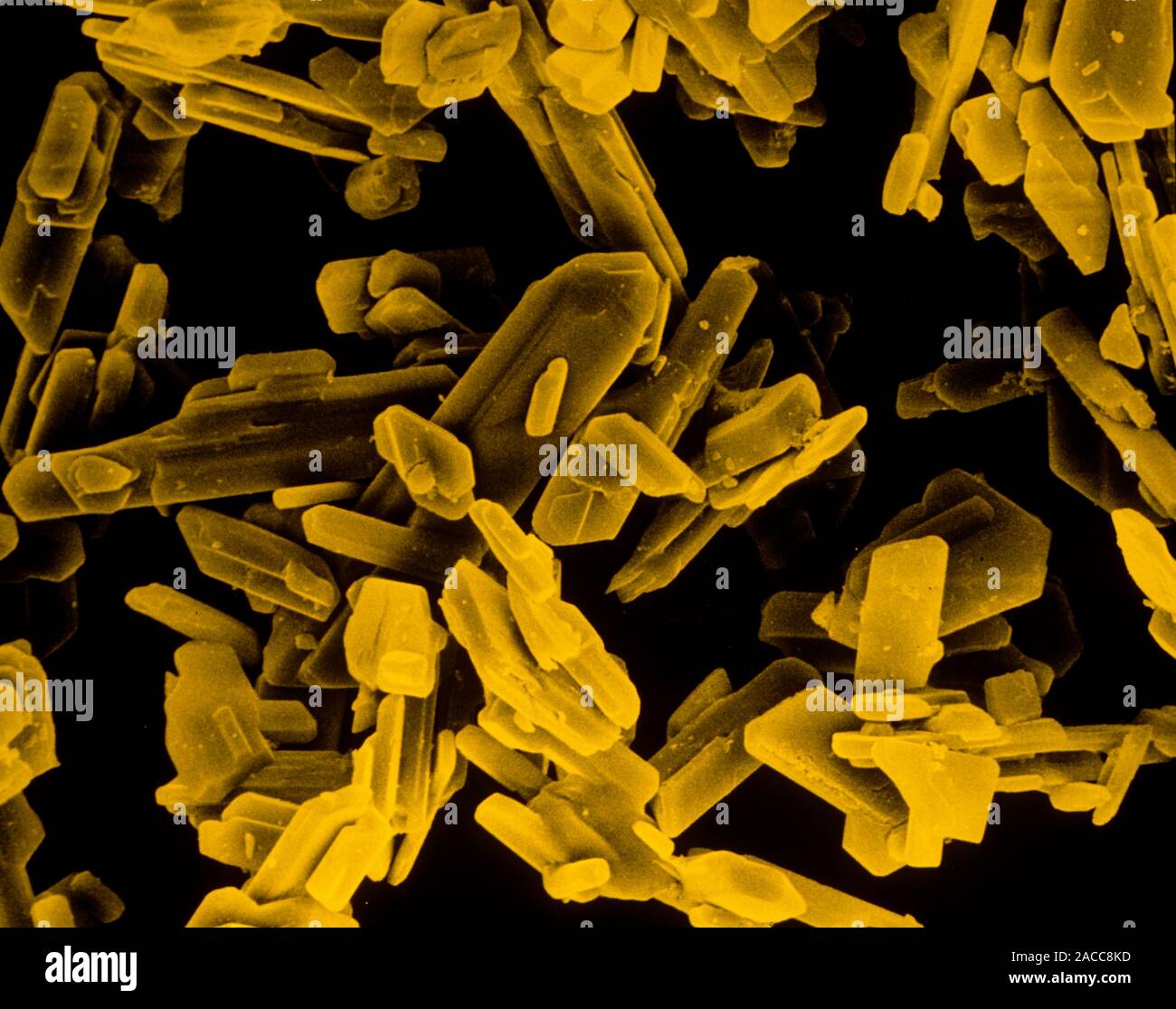 False colour scanning electron micrograph (SEM) of crystals of calcium ...