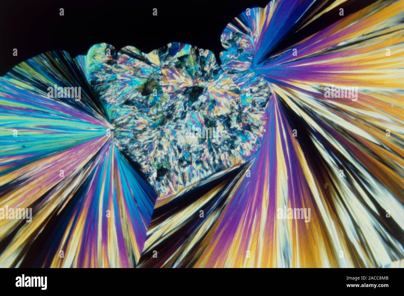 Polarised light micrograph of crystals of an unstable polymorph ...