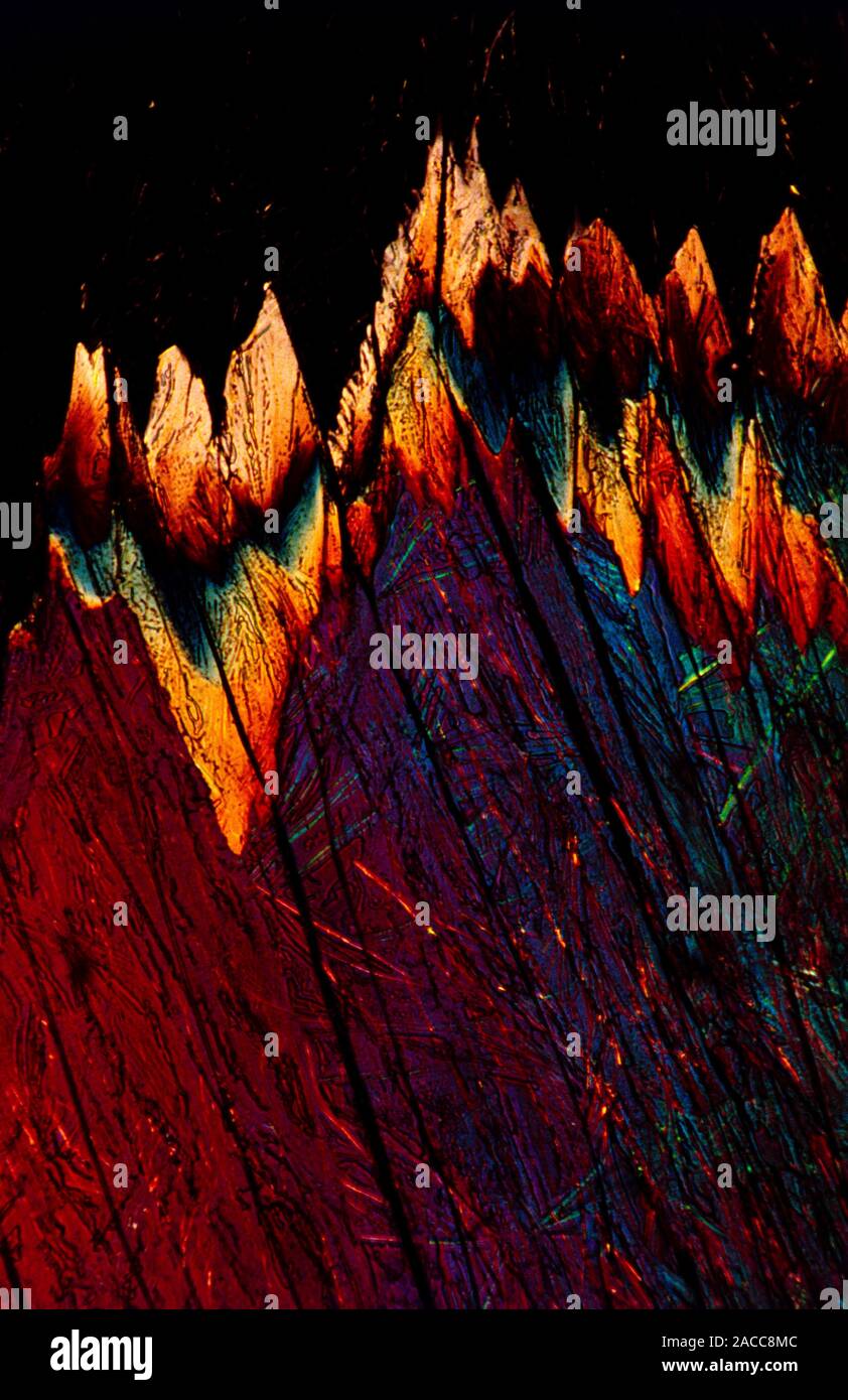Polarised light micrograph of crystals of the explosive picric acid ...