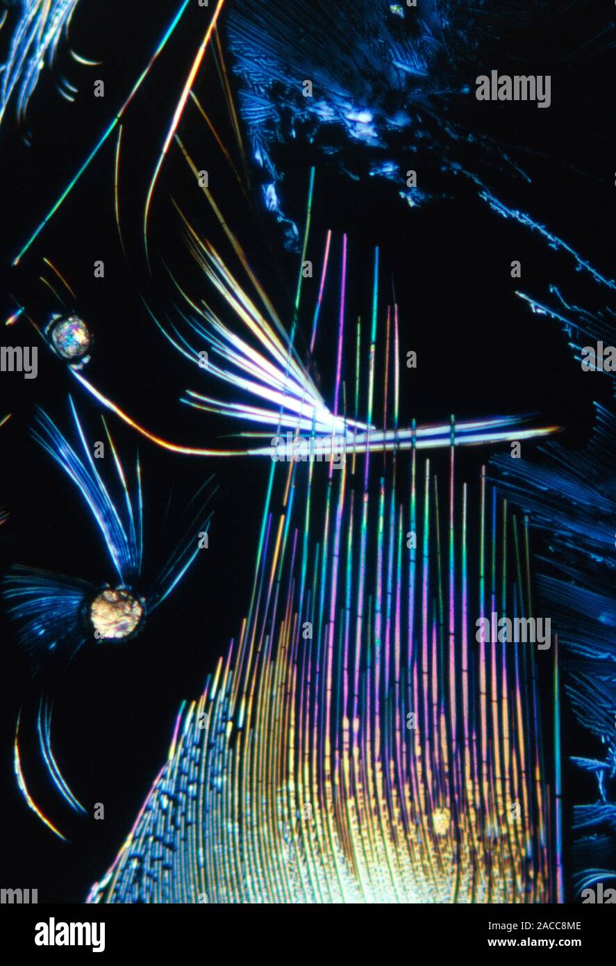 Polarised light micrograph of crystals of a mixture of the explosives ...
