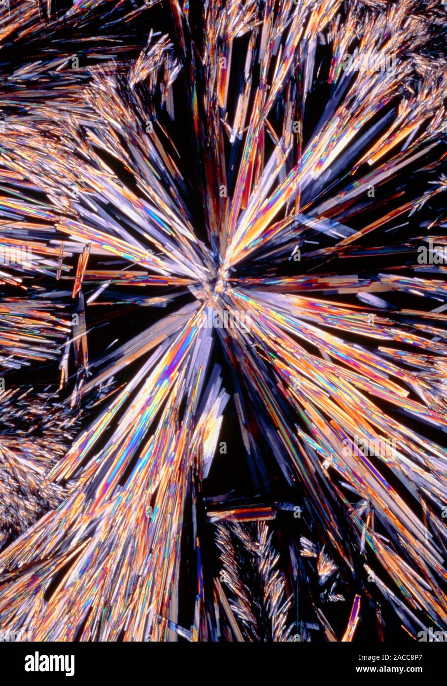 Cholesterol. Polarised light micrograph of crystals of cholesterol ...