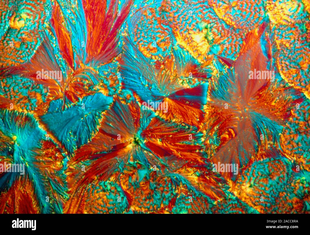 Lactose. Polarised light micrograph of crystals of the sugar lactose ...