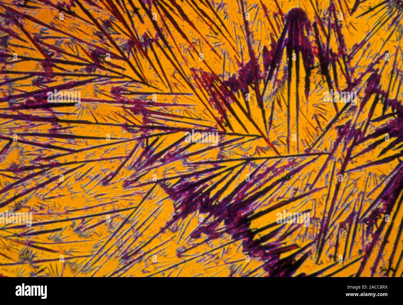 Potassium permanganate. Light micrograph of crystals of potassium ...