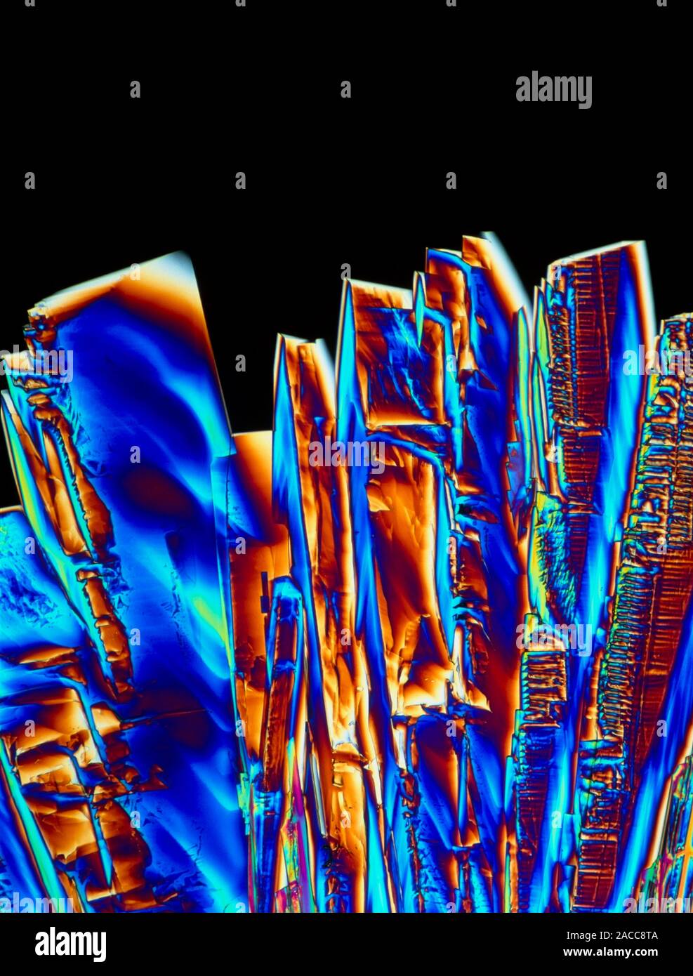 Tartaric acid crystals. Polarised light micrograph (PLM) of crystals of tartaric acid ...