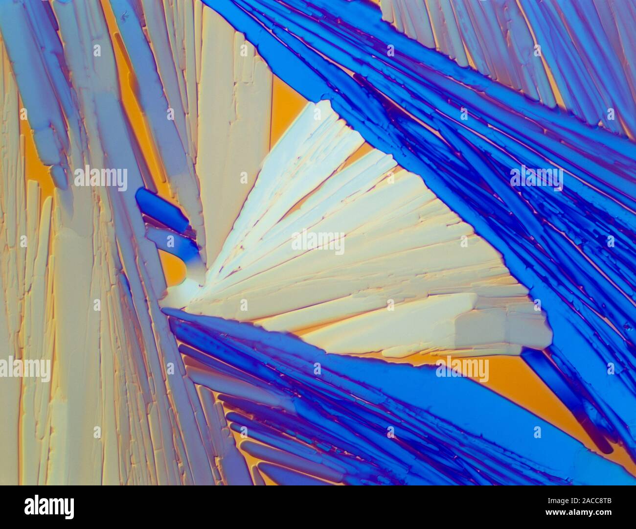 Acenaphthene. Polarised light micrograph of crystallised acenaphthene ...