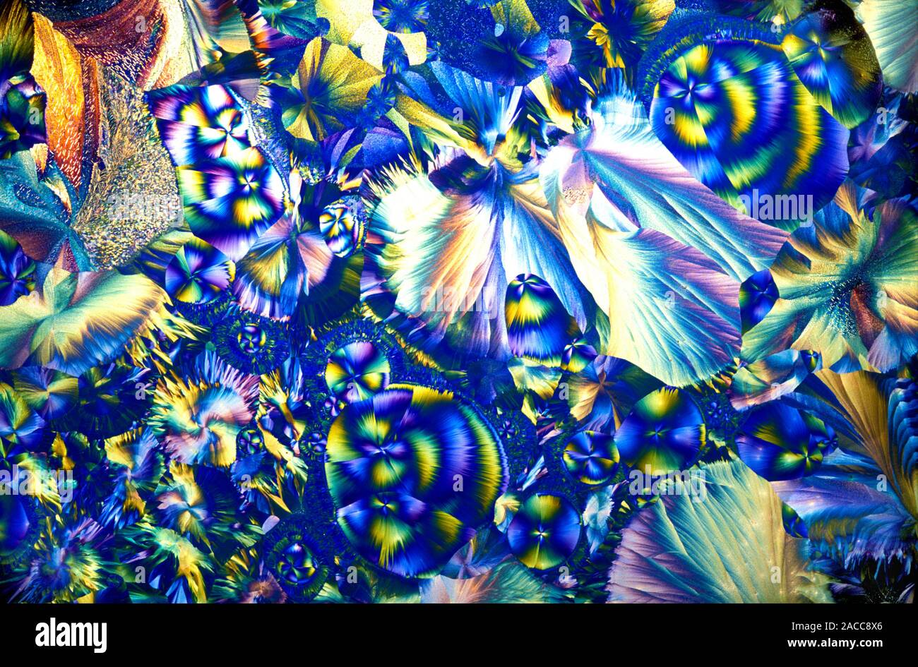 Copper sulphate and magnesium sulphate crystals. Polarised light ...