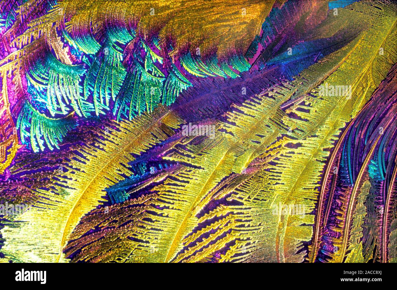 Silver nitrate crystals. Polarised light micrograph of silver nitrate ...