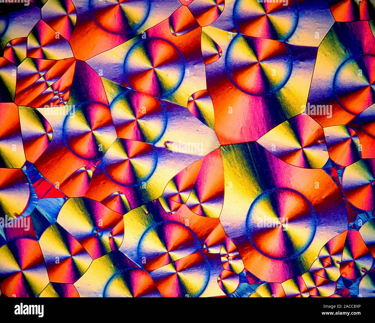 Copper sulphate crystals. Polarised light micrographs of copper ...