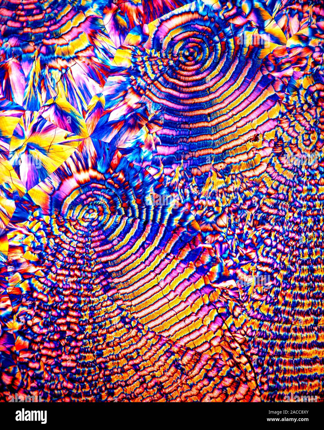 Copper sulphate and magnesium sulphate crystals. Polarised light ...