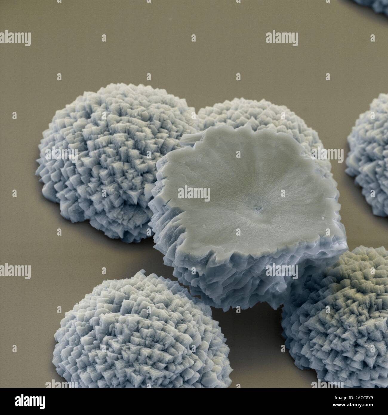 Calcite crystals. Coloured scanning electron micrograph (SEM) of ...