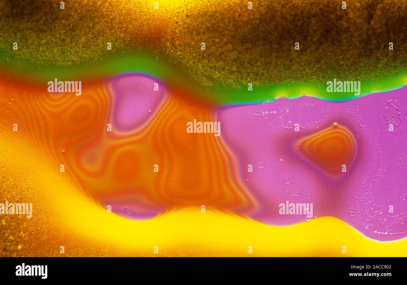 Light micrograph of molten arsenic disulphide. Interference contrast ...