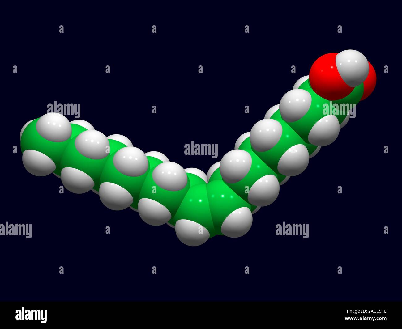 Oleic acid. Computer model of a molecule of oleic acid, a ...