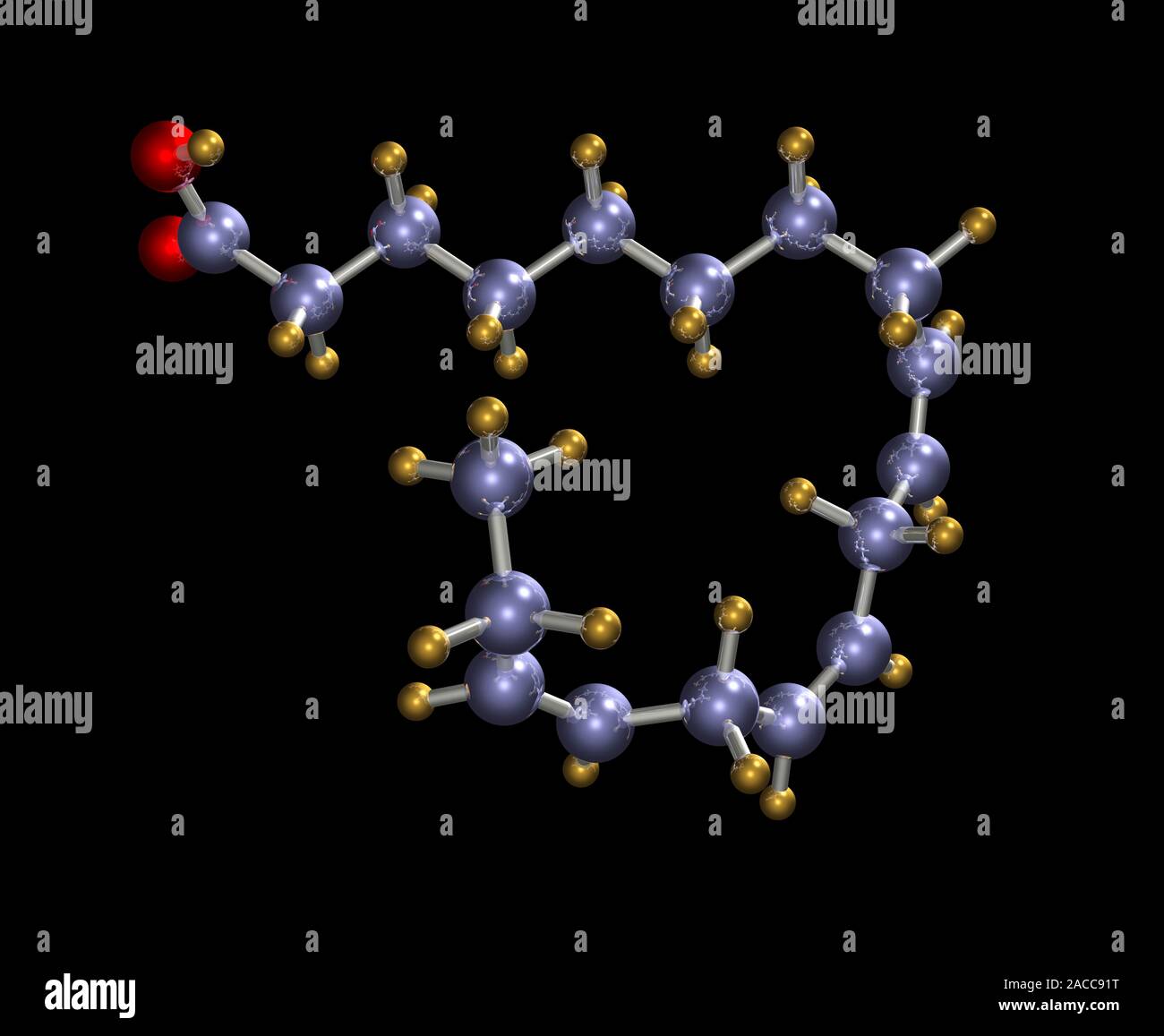 Alpha-linolenic acid. Computer model of a molecule of alpha-linolenic ...