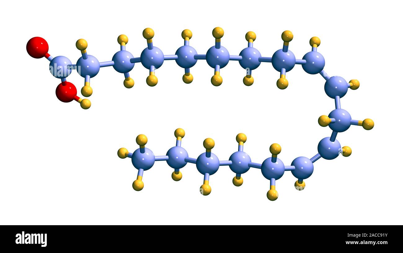 Linoleic acid. Computer model of a molecule of linoleic acid, an omega ...