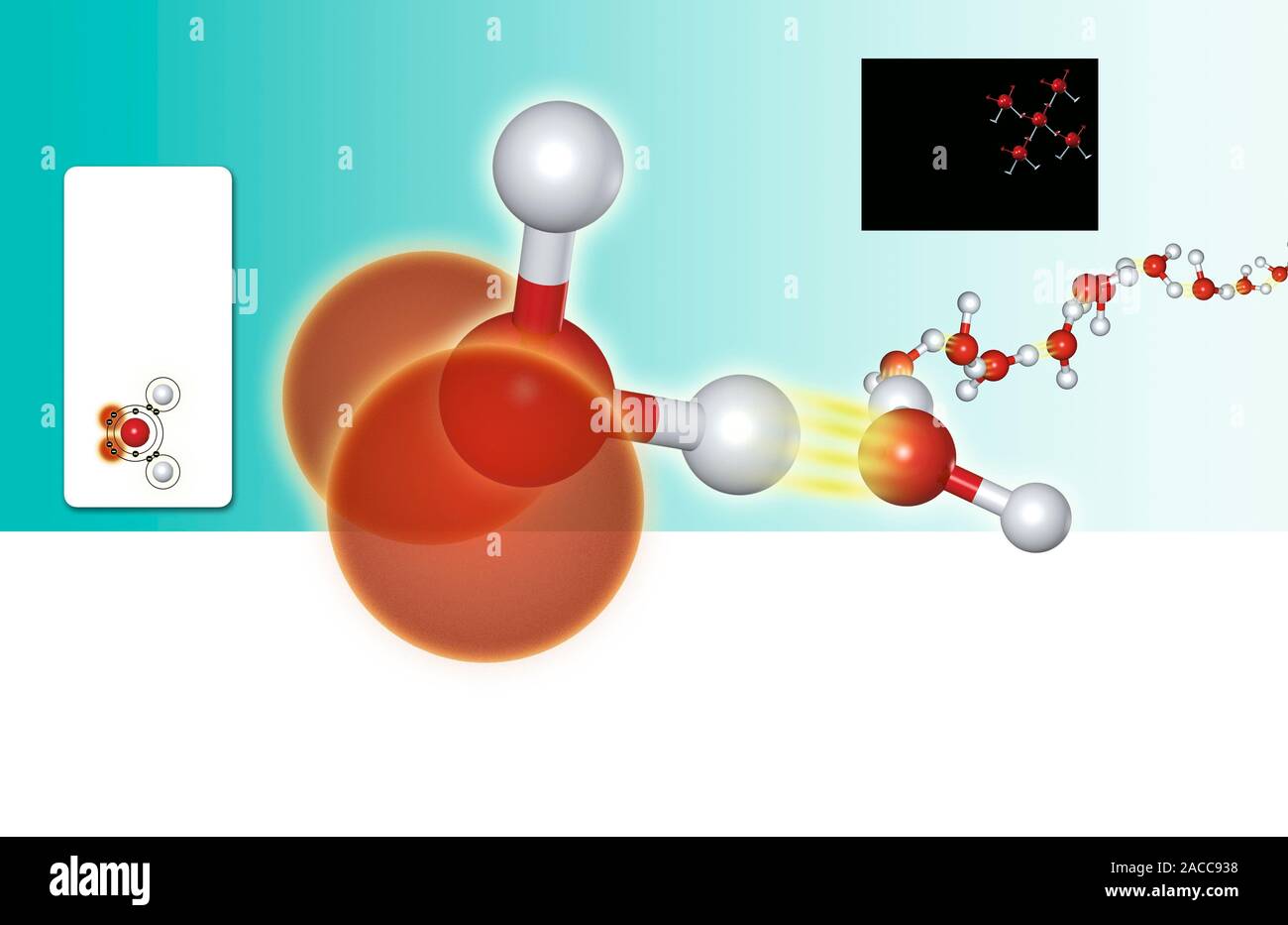 Water molecules. Diagram showing the bonding in water molecules. The ...
