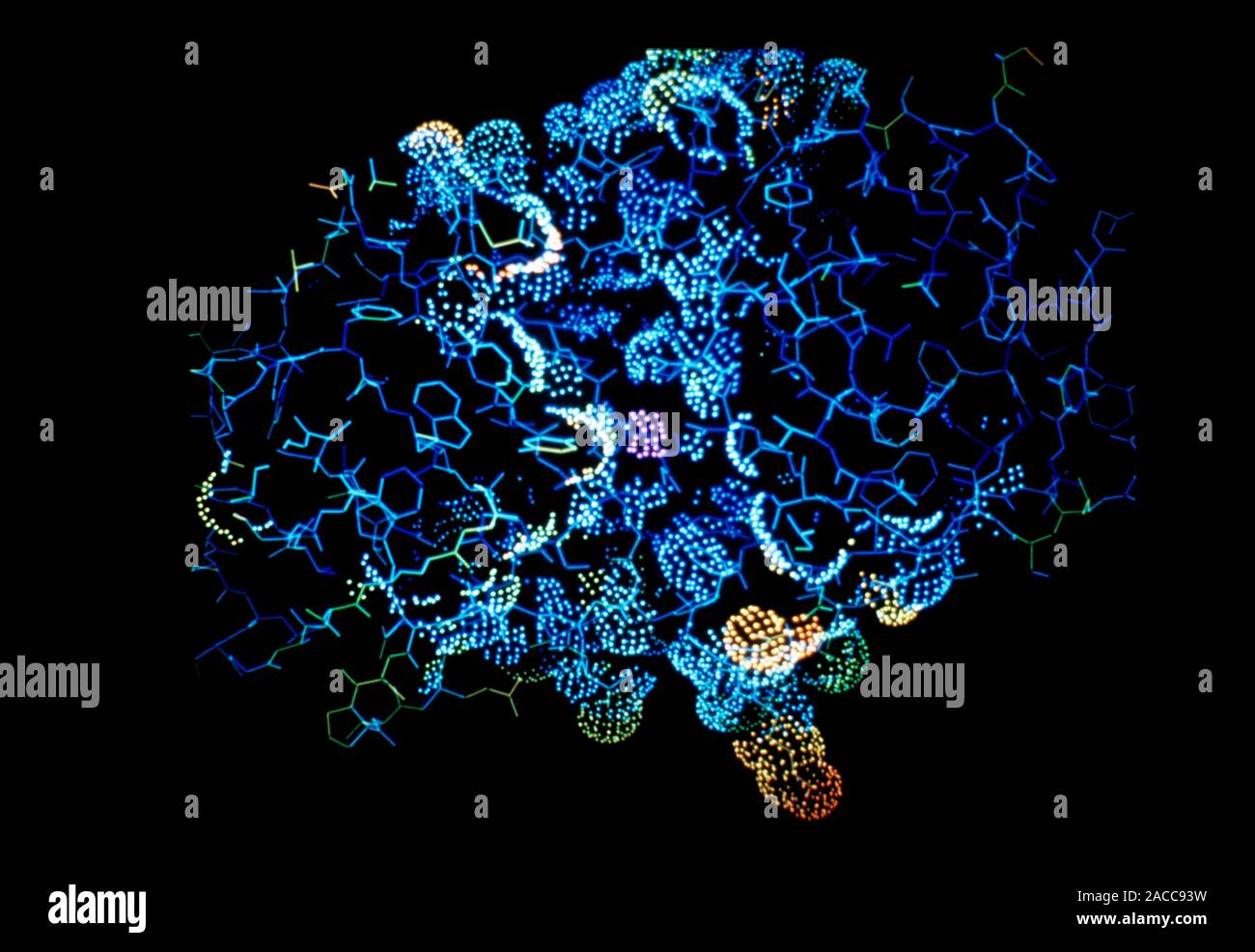 Computer graphics of the molecular structure of a pepsin (enzyme) from ...