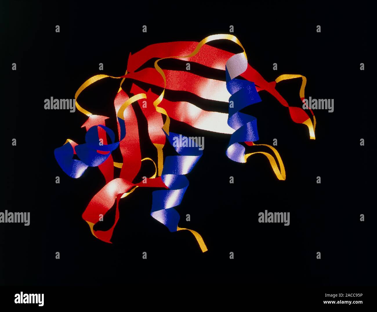 Ribonuclease enzyme. Molecular graphic of ribonuc- lease A (RNase-A ...
