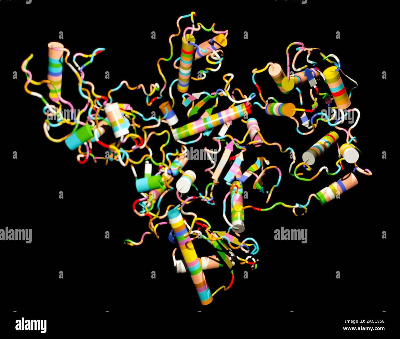 HIV reverse transcriptase. Computer model of the enzyme reverse ...