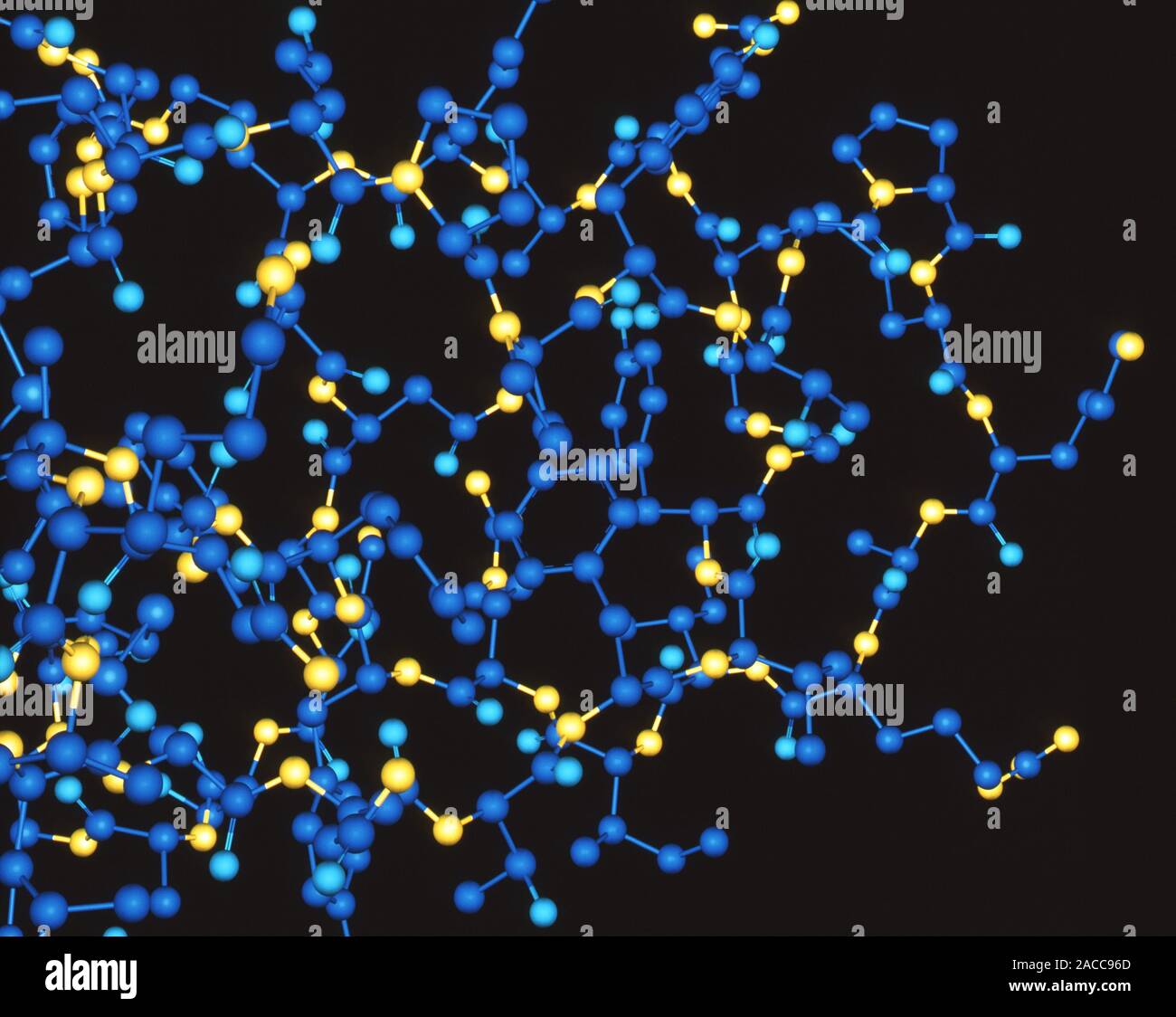 Trypsin. Computer model of part of a molecule of the digestive enzyme ...