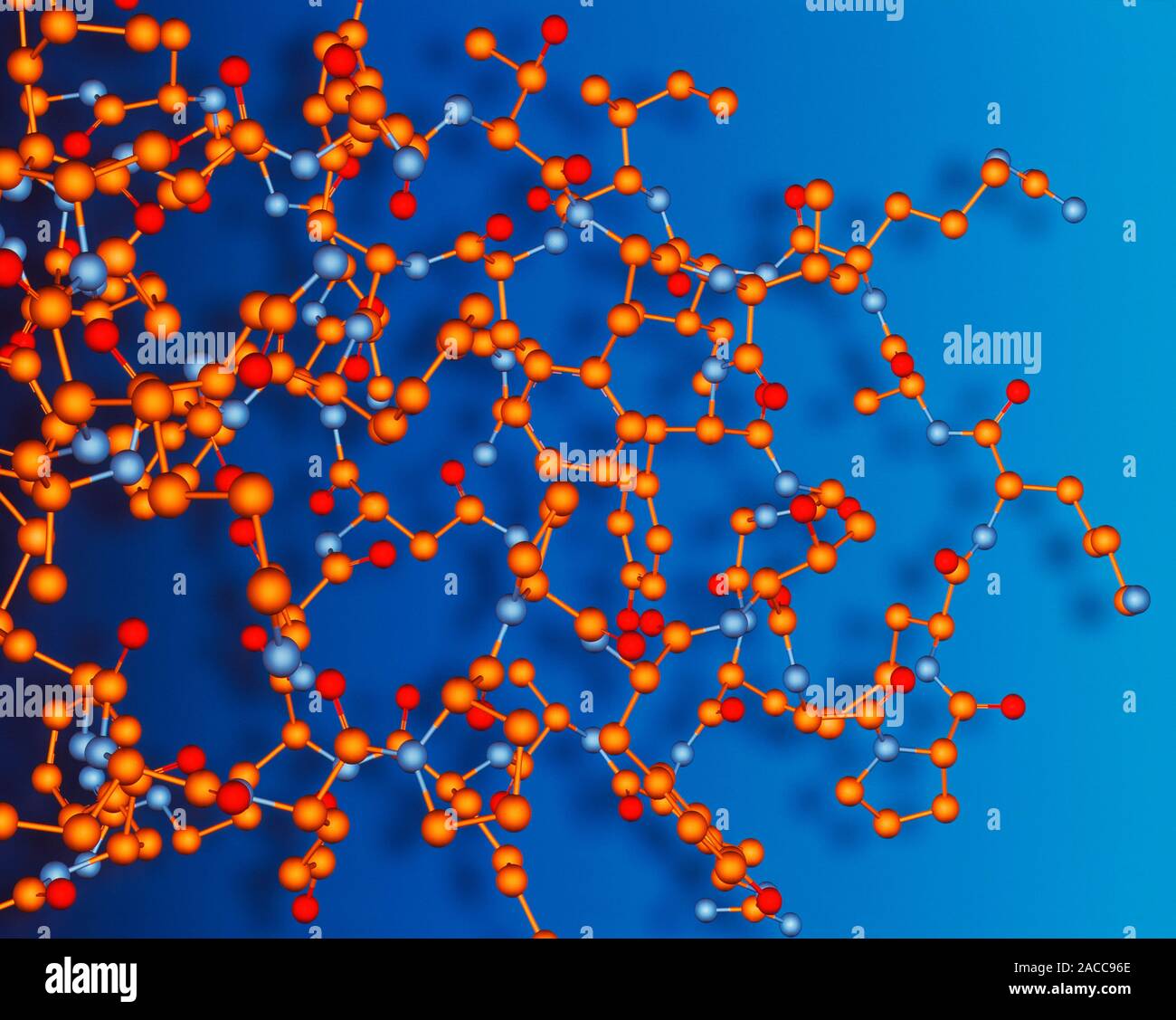 Trypsin. Computer model of part of a molecule of the digestive enzyme ...