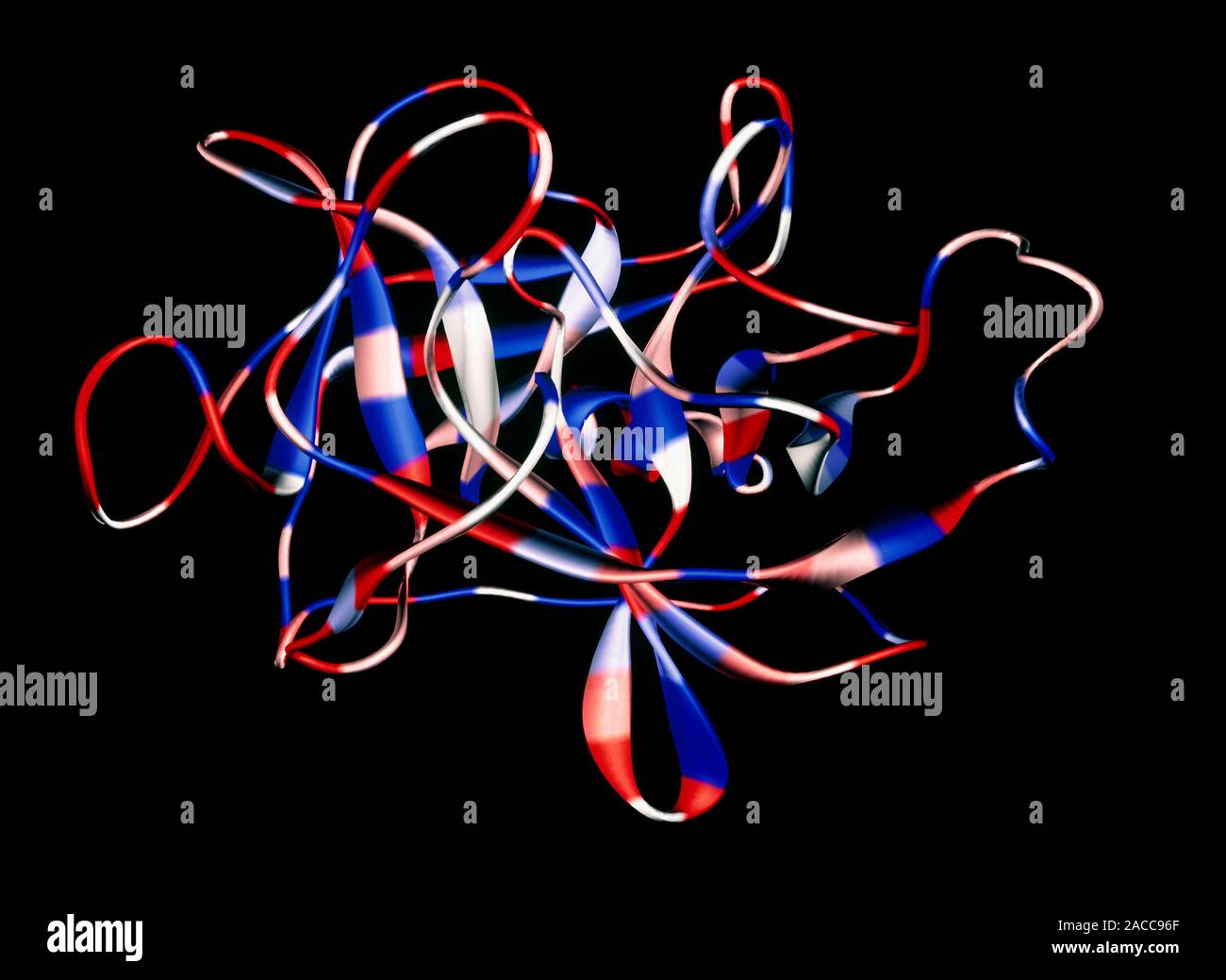 Elastase molecule. Computer model of elastase, an enzyme produced in ...