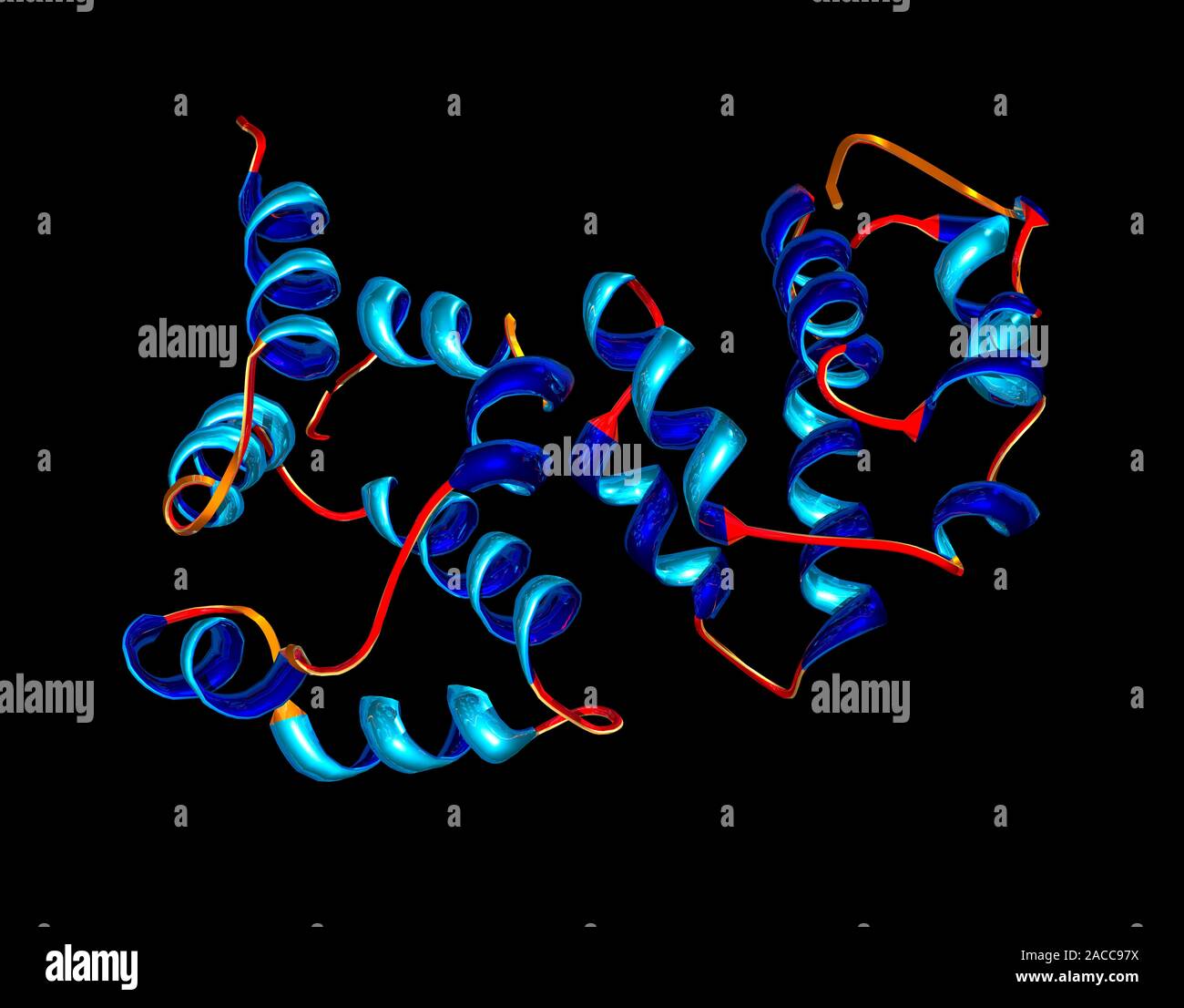 Pro-caspase-9 molecule. Computer artwork showing the secondary ...