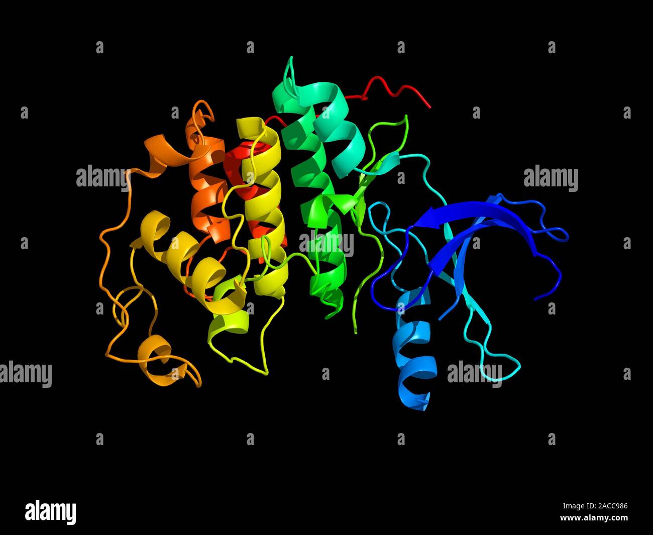 Kinase molecule, computer model. Kinases, also known as ...