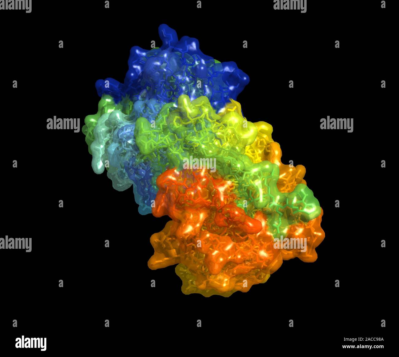 Triose phosphate isomerase (TPI) molecule, computer model. TPI, an ...