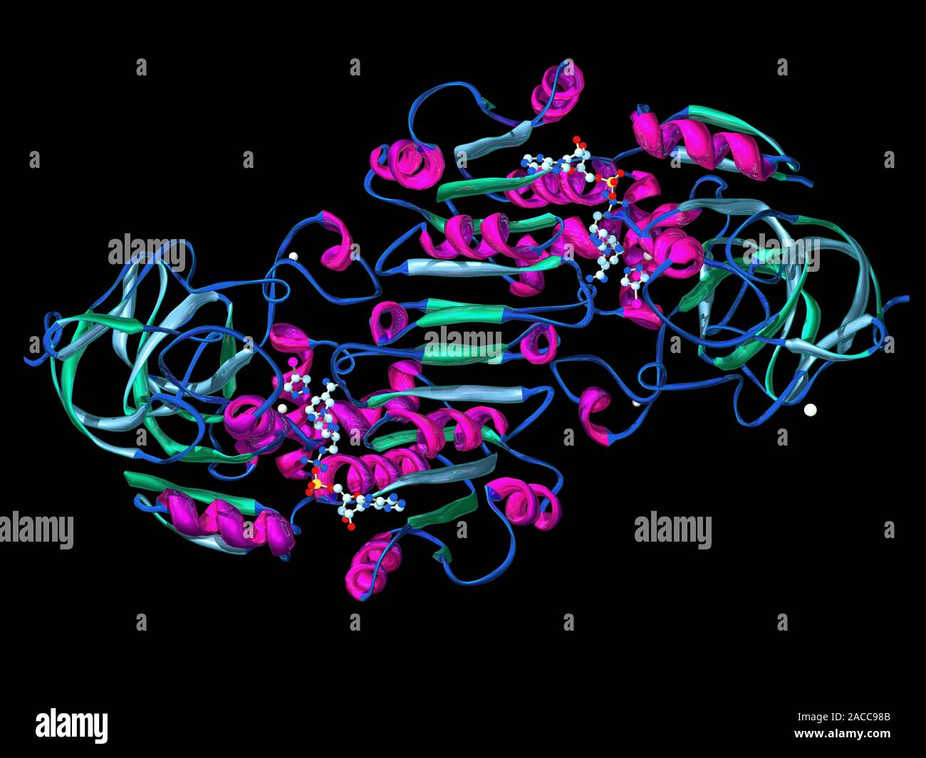 Alcohol dehydrogenase, molecular model. Alcohol dehydrogenase (ADH) is ...