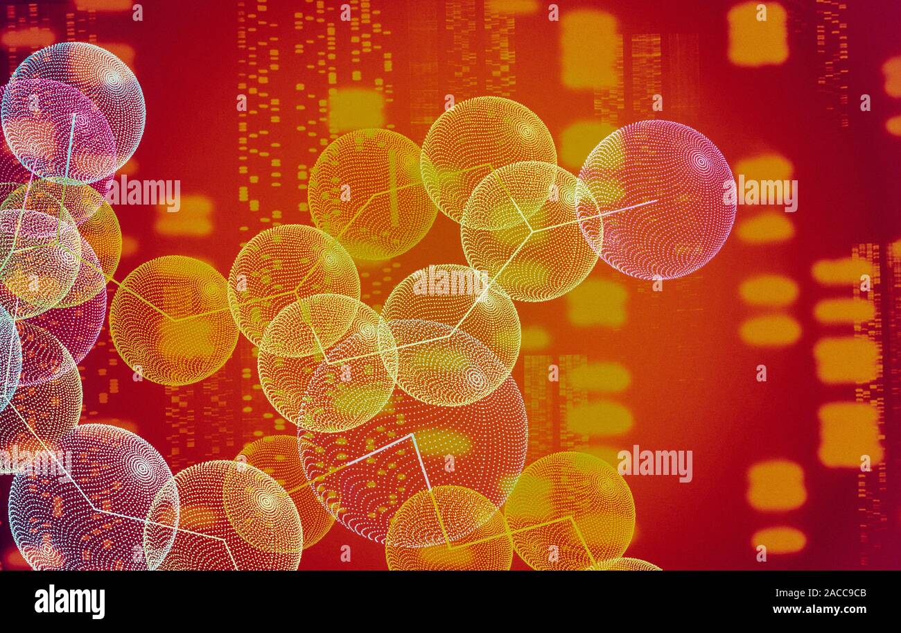 Encephalin. Computer molecular graphic of part of a molecule of ...