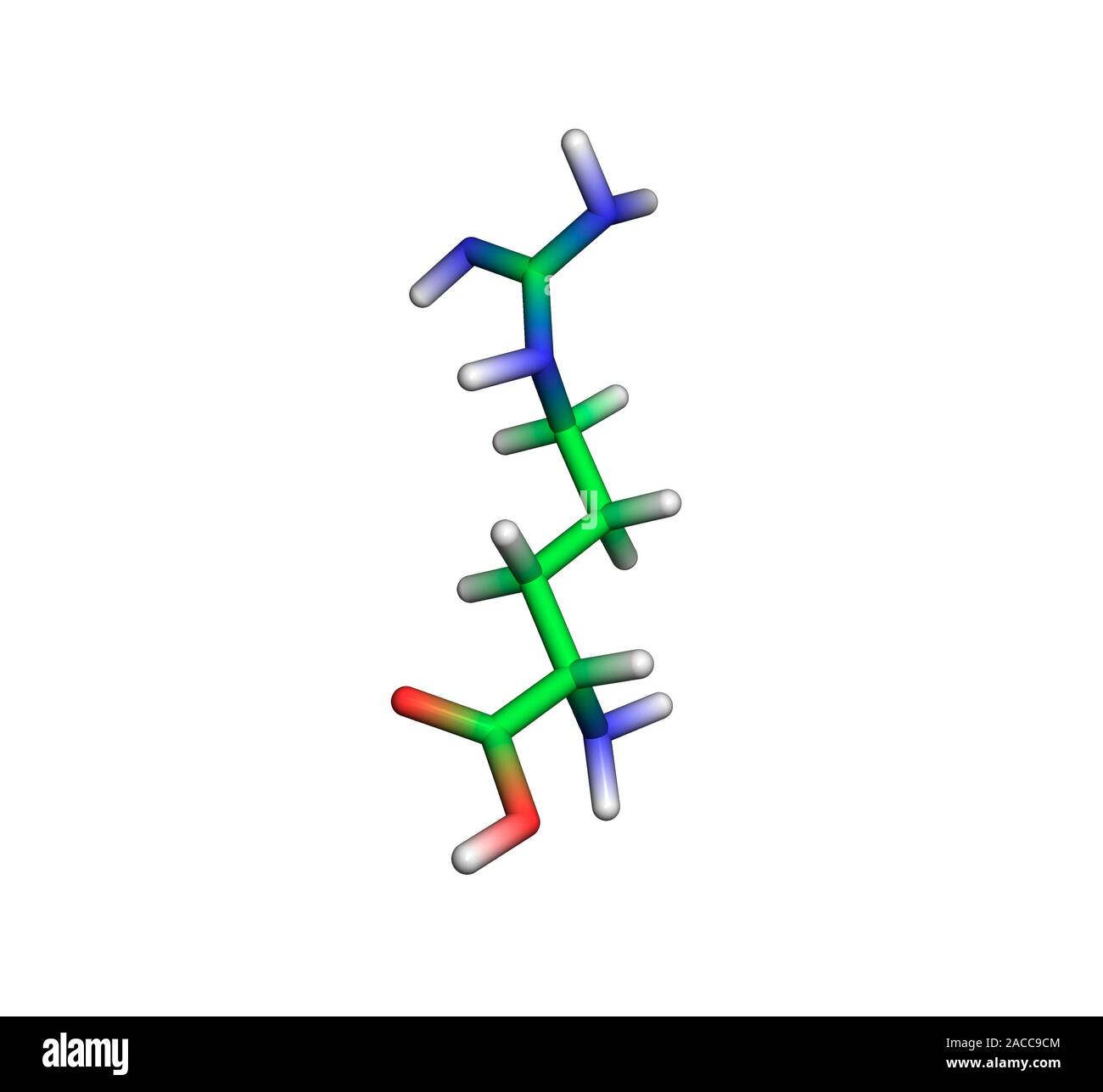 Arginine molecule. Computer model of a molecule of the amino acid ...